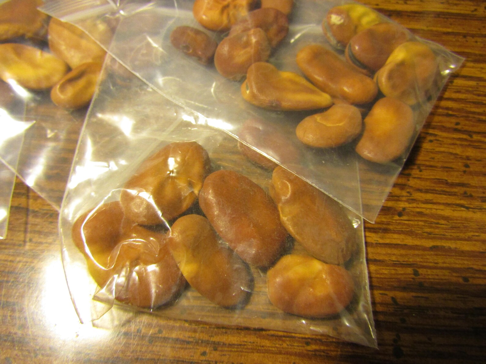 Fava Beans Mojo Beans Saint Joseph Beans African Wishing - Etsy