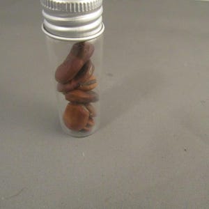 Fava Beans, Mojo Beans, Saint Joseph Beans, African Wishing Beans, Set ...