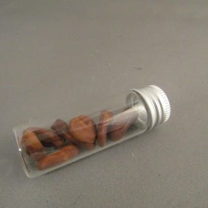 Fava Beans, Mojo Beans, Saint Joseph Beans, African Wishing Beans, Set ...