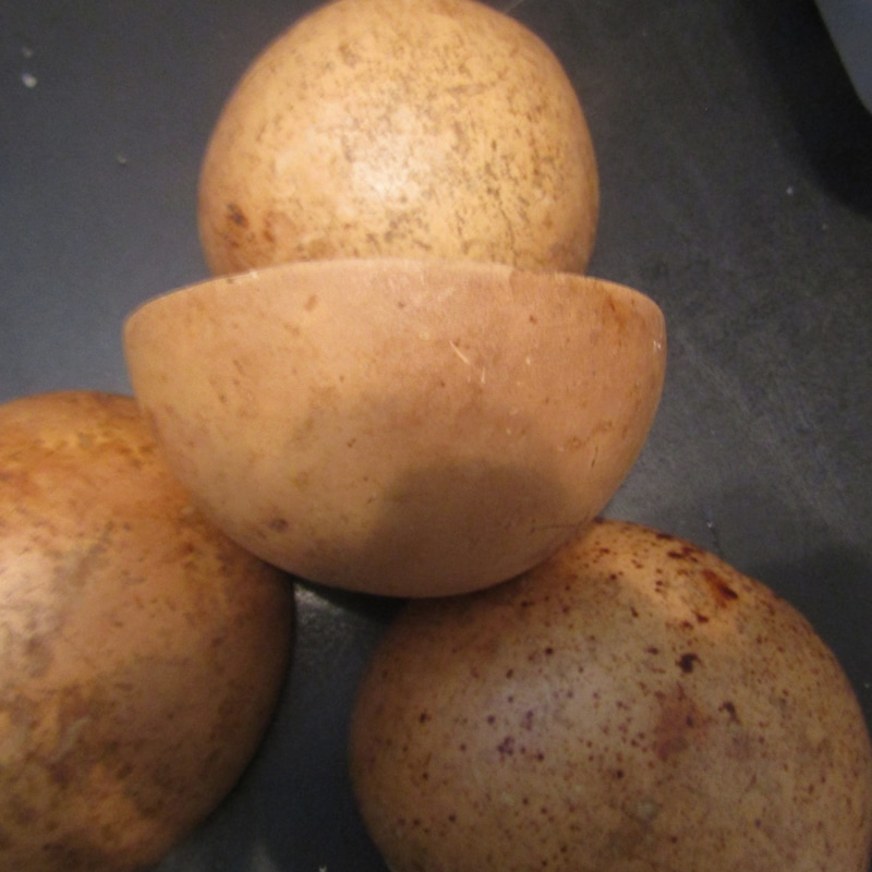 Calabash Gourd - Etsy