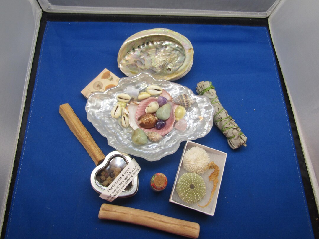 Sea Witch Altar Kit: Abalone Shell, Coral, Gemstones - Etsy