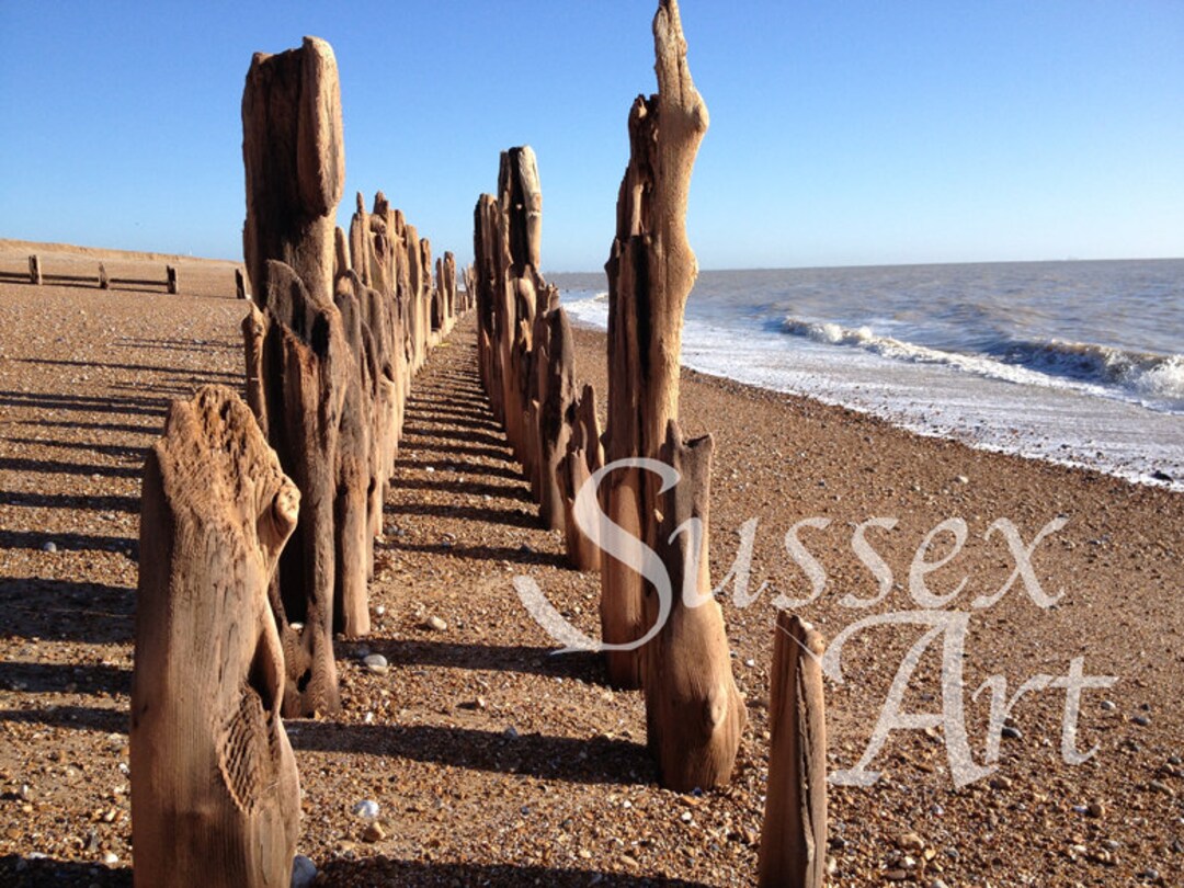 Old Beach Groynes Portrait Wall Art Photograph Pett Level Beach East ...