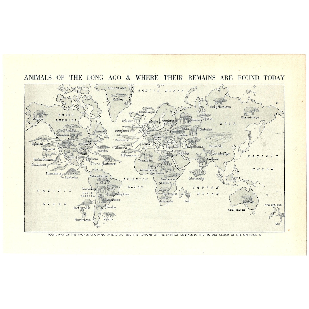 Extinct Animals World Map Print From the 1950s. Genuine Original ...