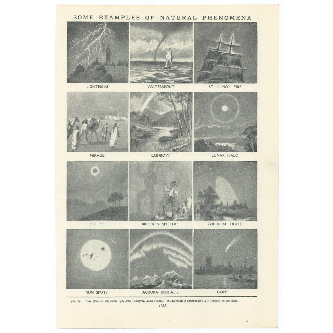 Some Examples of Natural Phenomena Vintage 1920's Lithograph Print ...