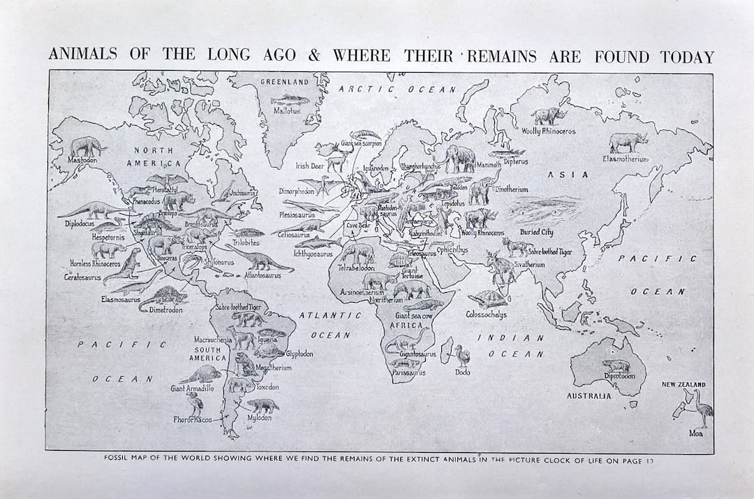 Extinct Animals World Map Print From the 1950s. Genuine Original ...