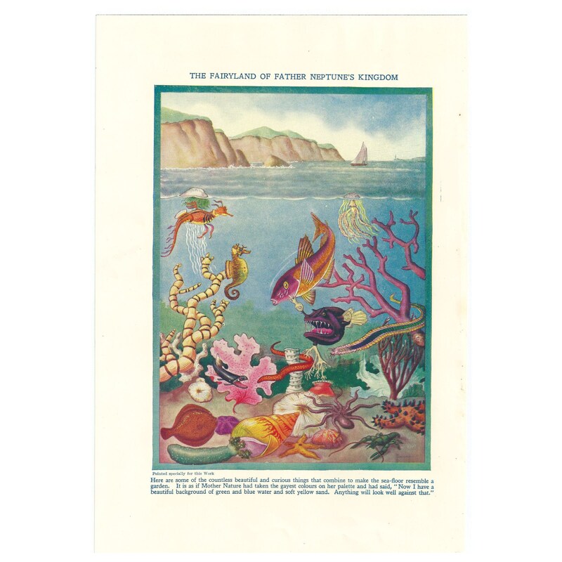 Ocean Life Print - Etsy