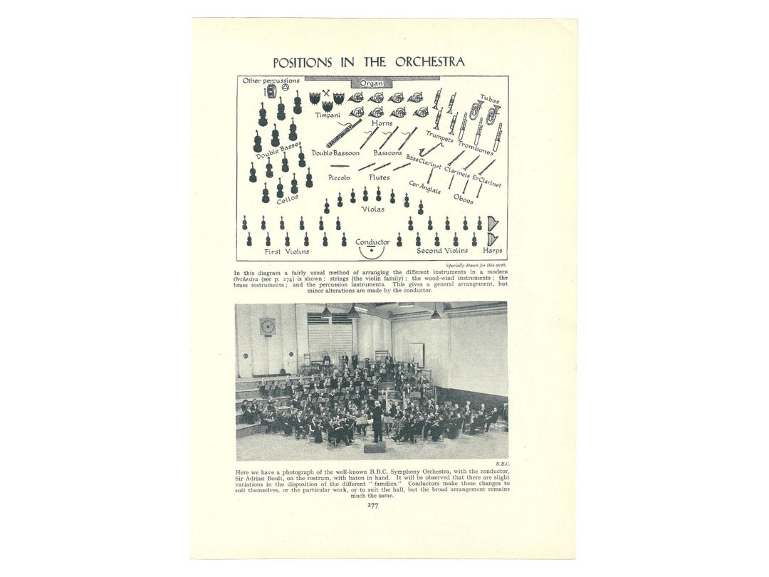 Positions in the Orchestra Vintage 1950s Print. Genuine Original ...