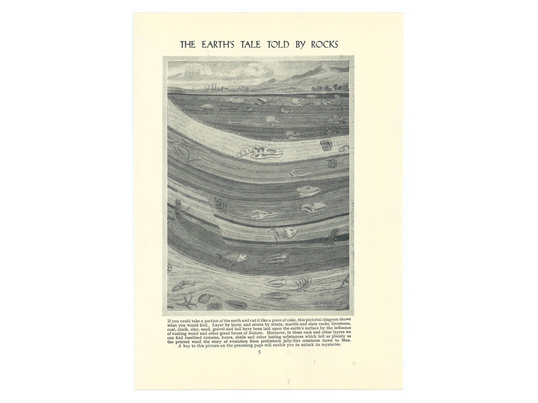 Vintage 1930's Earth Layers Print. Lithograph Diagram Illustration ...
