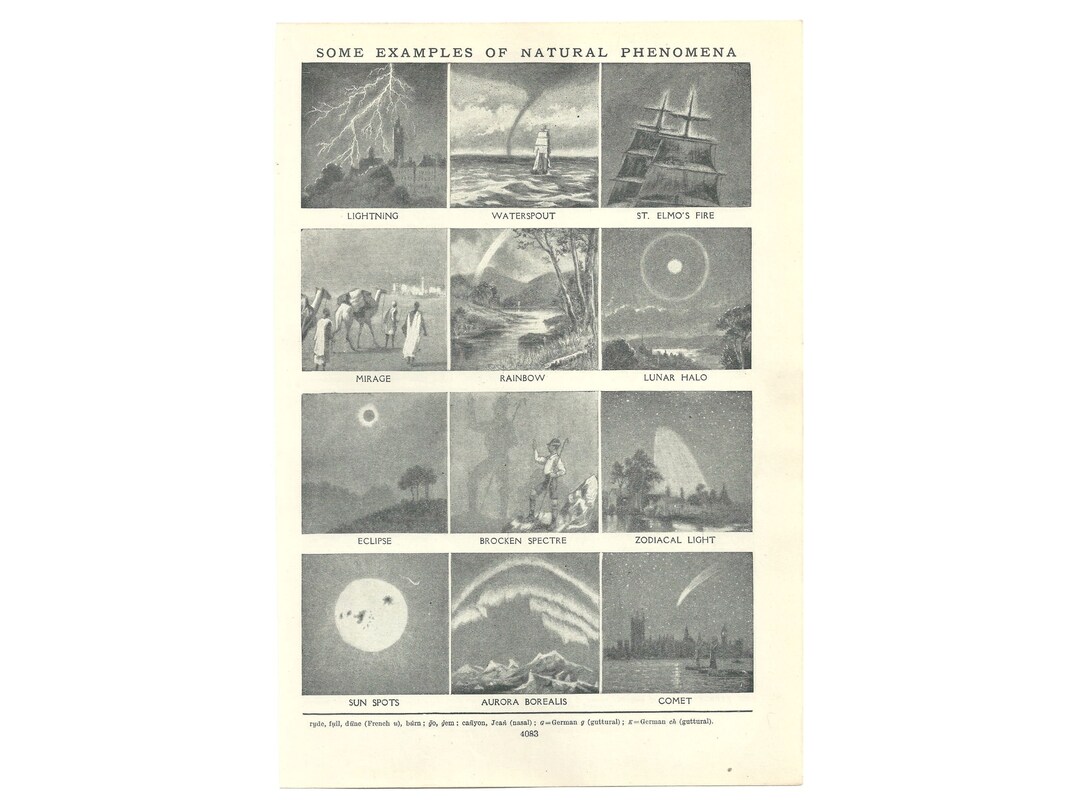 Some Examples of Natural Phenomena Vintage 1920's - Etsy