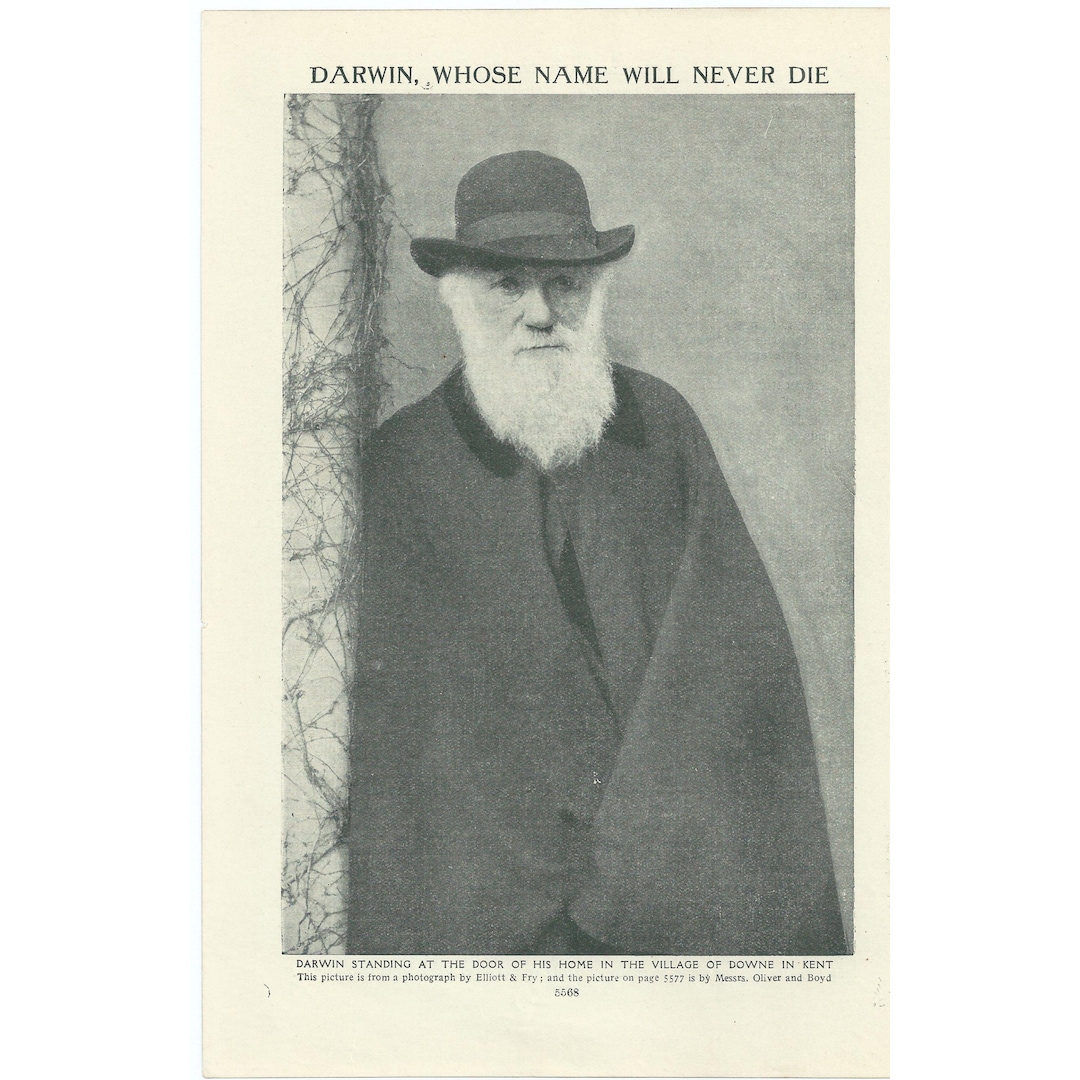 Vintage Charles Darwin Print. Original Genuine 1920's Lithograph Book ...