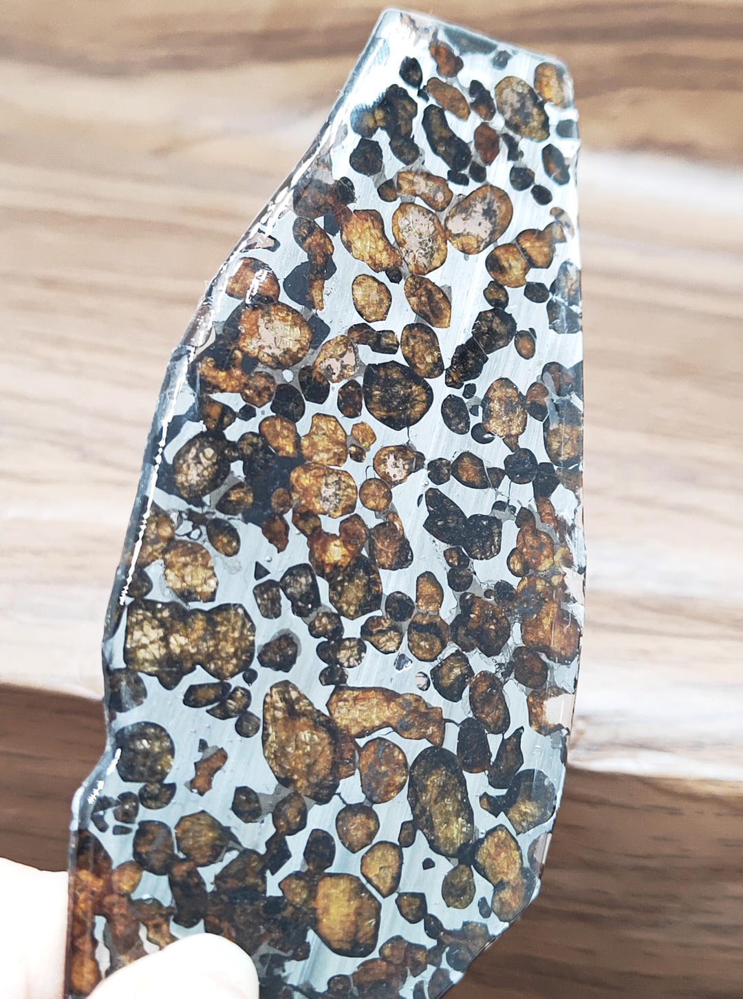 35.1g Seymchan Pallasite Meteorite Slice, Olive Meteorite,beautiful ...