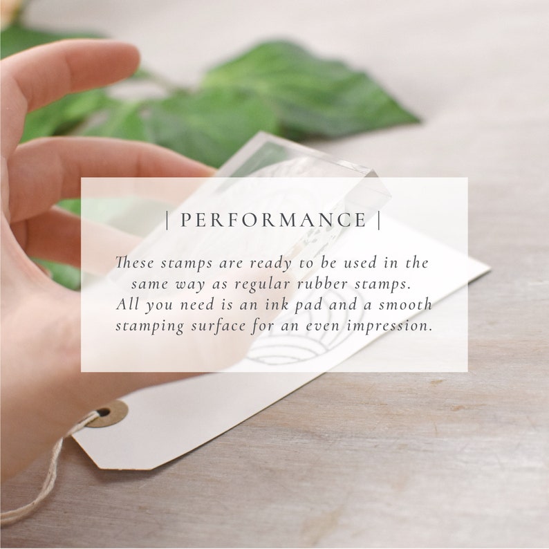 Split Business Card Stamp Set Custom Logo and Social Media - Etsy