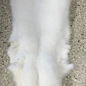 Genuine Blue Fox Fur Pelt, Super Supple and Lavish as a Fur Stole or ...