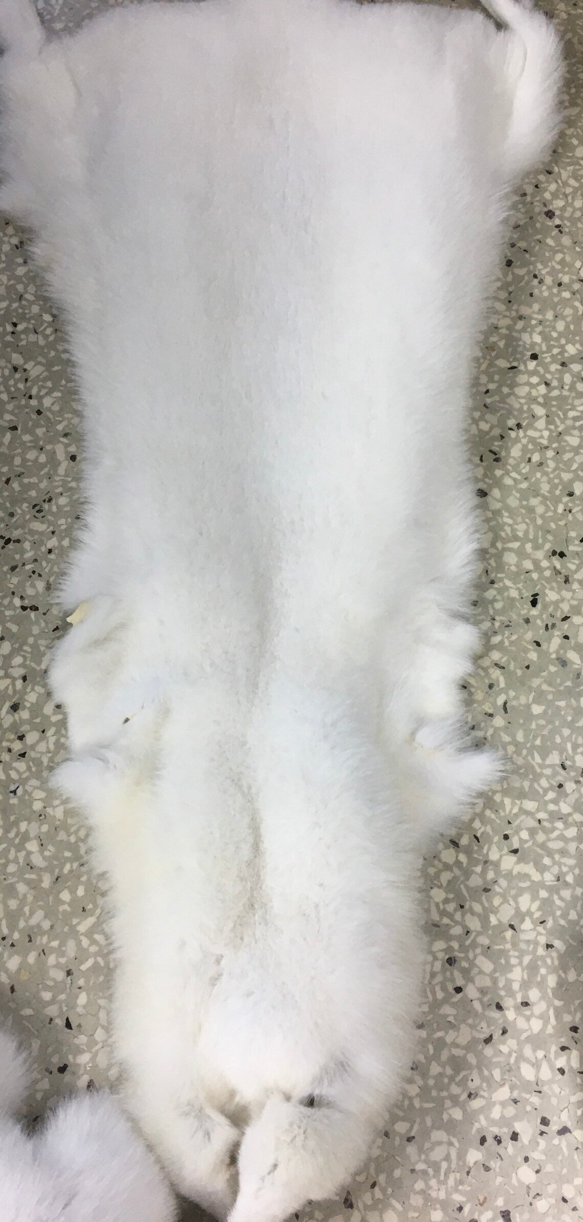 Genuine Blue Fox Fur Pelt Super Supple and Lavish as a Fur - Etsy