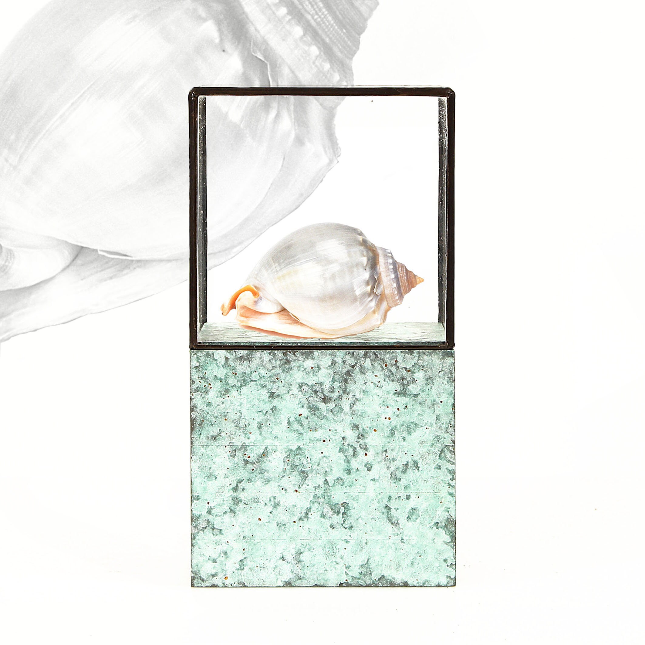 10x10x19 Cm 3.9x3.9x7.5 Inches Glass Display Showcase Tabletop Dark ...