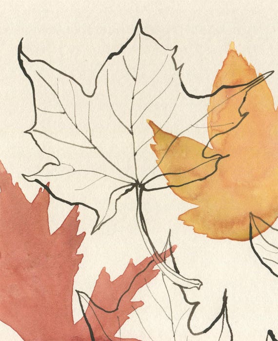 Contemporary botanical art by Catalina watercolor and ink drawing of ...