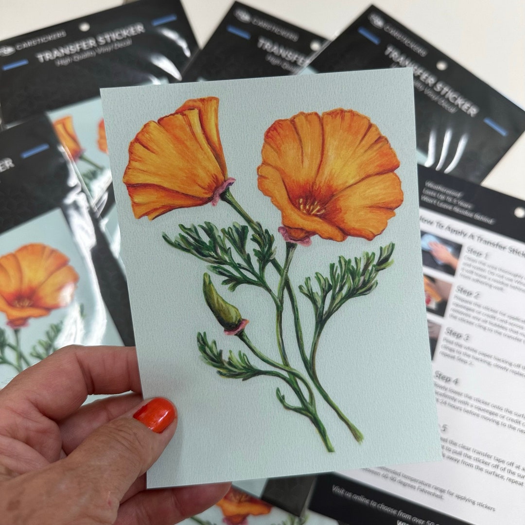 California Poppy Decal for Cars and Vehicles - Transfer Sticker ...