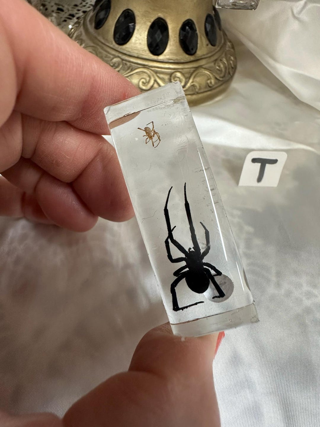 R-T REAL Ex-large Black Widow Spiders Captured in Resin, Super Creepy ...