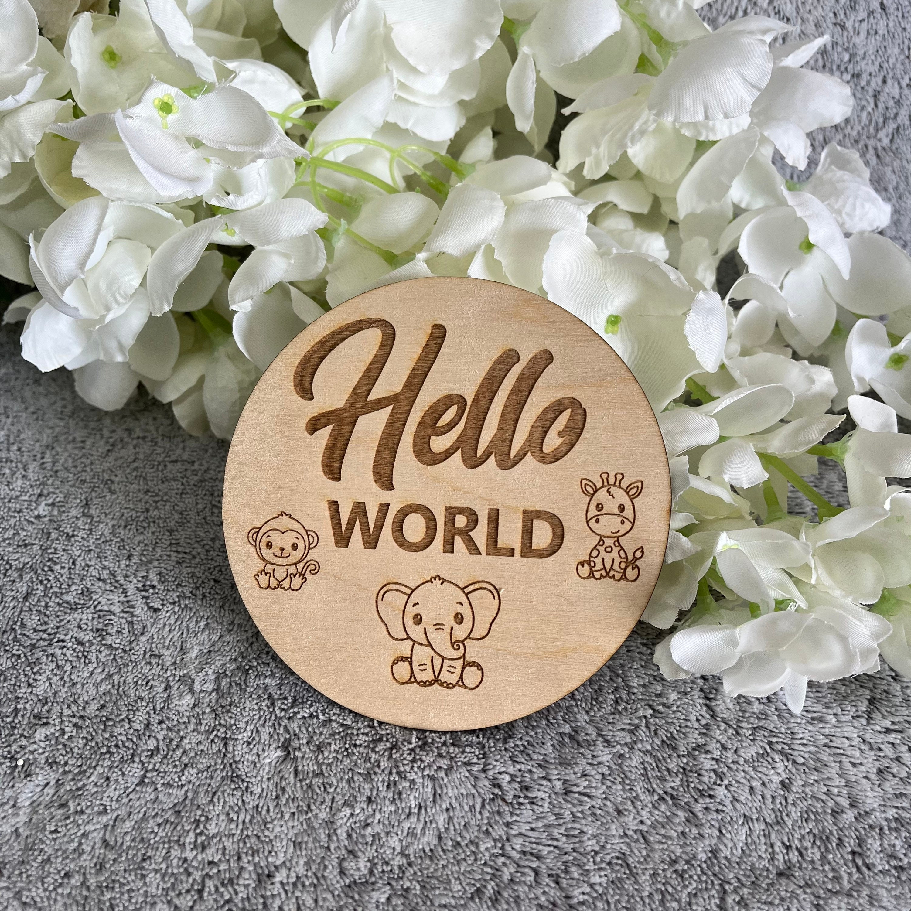 Hello World Birth Announcement Sign Baby Arrival Sign Hello - Etsy UK