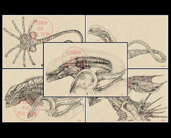 Alien Xenomorph Evolution 11x17 Art Print Set Of 5 Signed By | Etsy