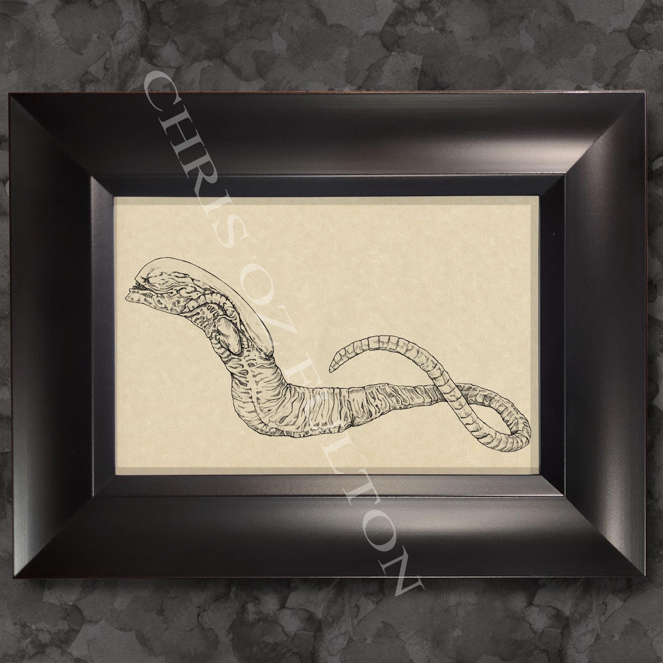 Xenomorph Alien Evolution Profile Framed Art Print Set by Chris Oz ...