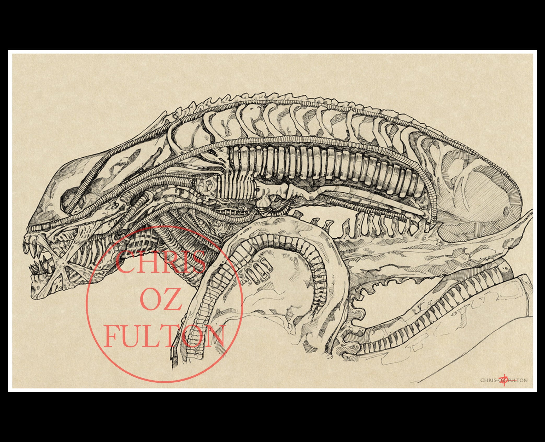 Alien Xenomorph Evolution Series 11x17 Art Prints Signed by - Etsy