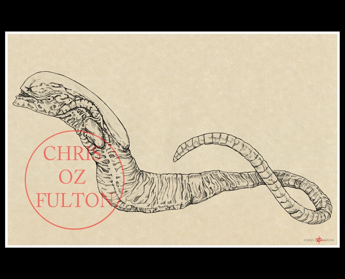 Alien Xenomorph Evolution Series 11x17 Art Prints Signed by - Etsy