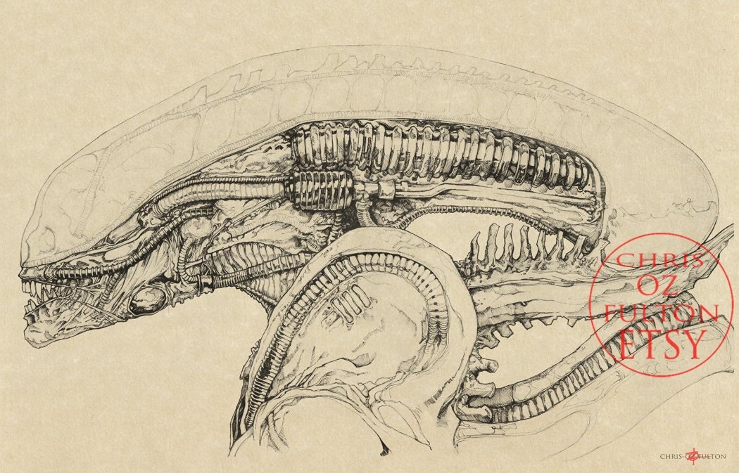 Xenomorph Alien Big Chap Profile Parchment Variant Poster | Etsy