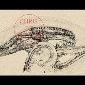 Xenomorph Alien Big Chap Profile Parchment Variant Poster Art Print by Chris Oz Fulton Signed - Etsy