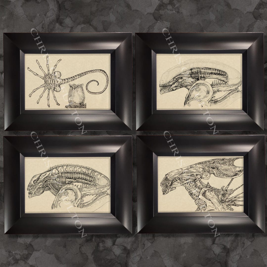 Xenomorph Alien Evolution Profile Framed Art Print Set by Chris Oz ...