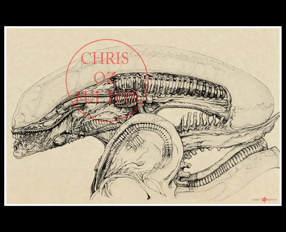 Alien Xenomorph Evolution Series 11x17 Art Prints Signed by Chris Oz ...