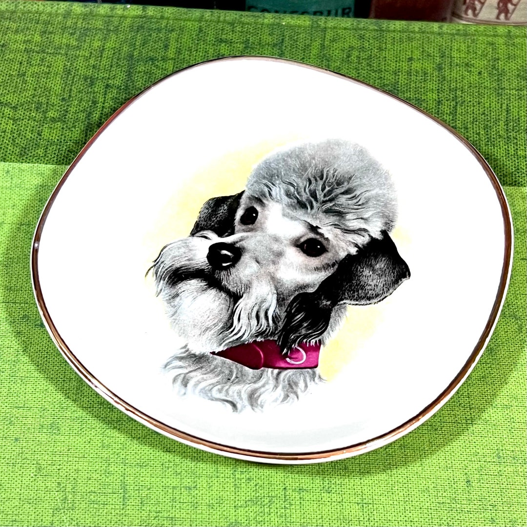 Poodle Lovers Plate Hanley Dish England Royal Falcon Ware Poodle Image ...