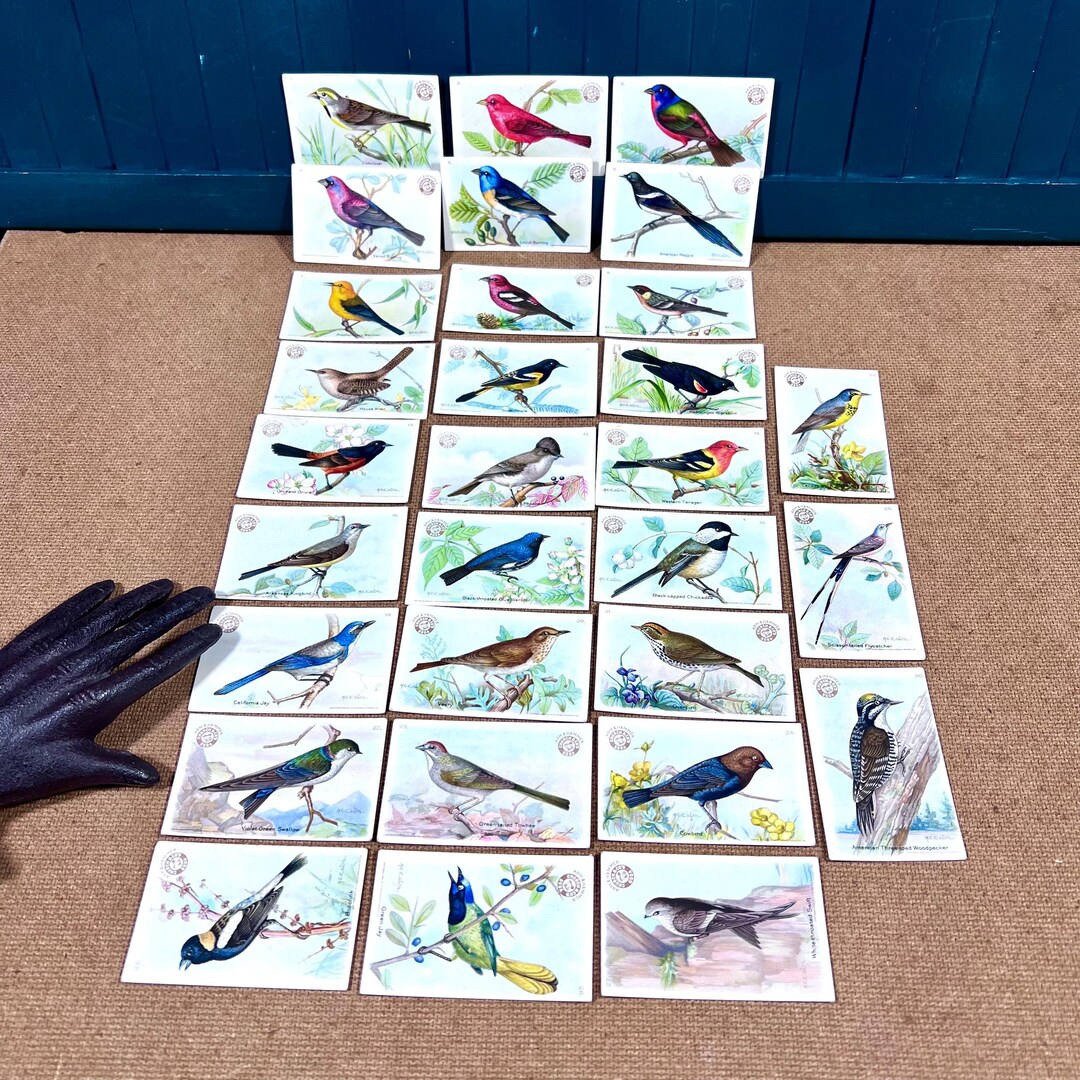1922 Trade Cards 3rd Series Birds of America Arm and Hammer - Paper ...