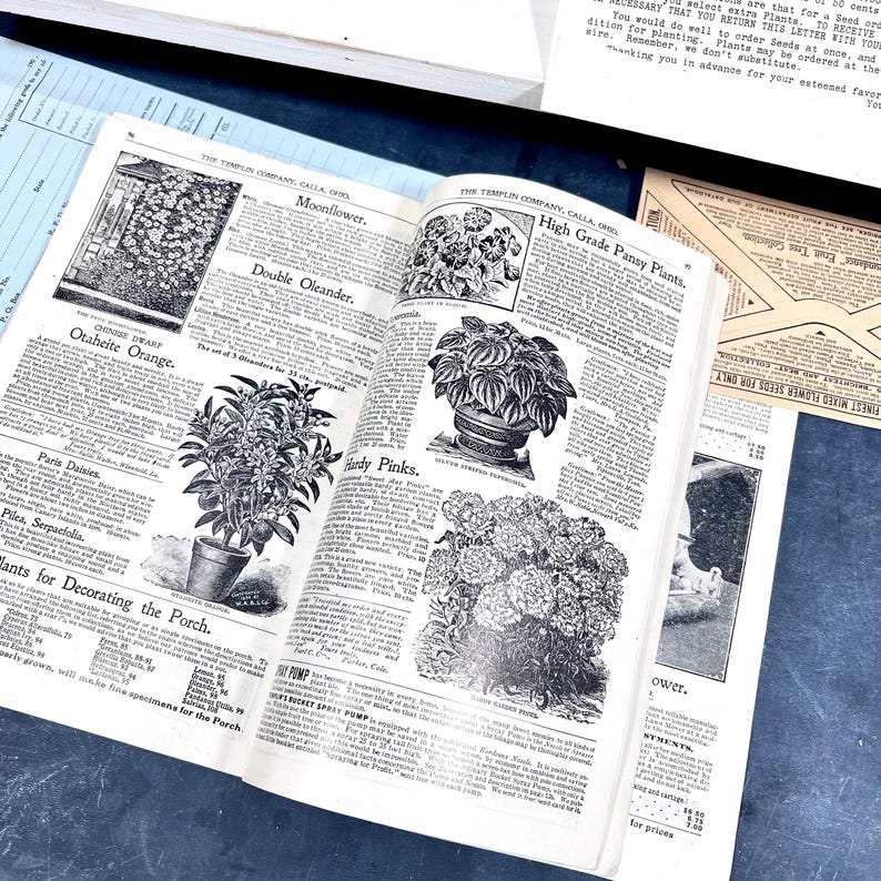 Gardening Catalog Templin Co. Florist and Seedsmen Ohio / Order Form ...