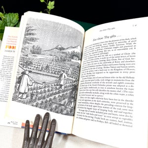 1979 Vintage Book - History of Food - Titled Foodbook by James Trager ...