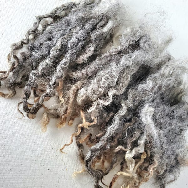 Wool Locks - Etsy