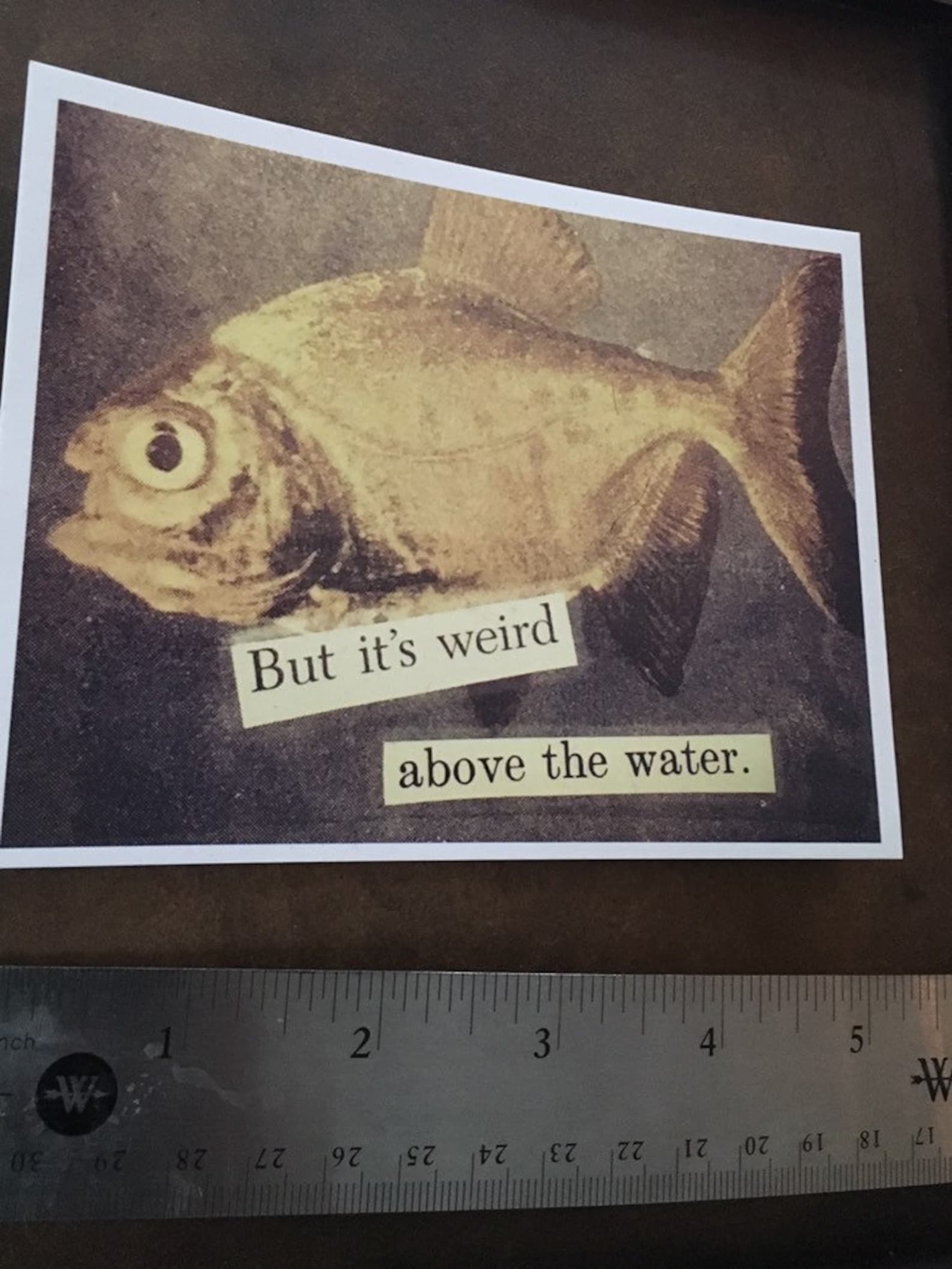 Fish Poem. Glossy Print of Original Collage Art // Recycled Words and ...