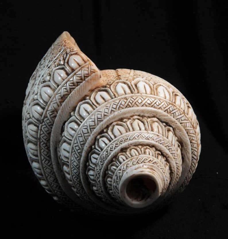 Vintage Sacred Conch Shell, Intricately Crafted, 8.5 Inch - Etsy