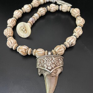 Fossilized Shark Tooth Necklace, Sterling Silver, Carved Clam Shell ...