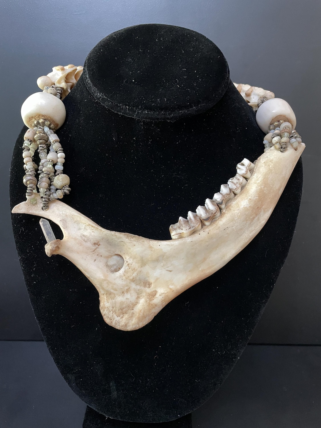 Deer Jaw Bone Necklace, Sacred Tribal Talisman, Teresa Bradford - Etsy