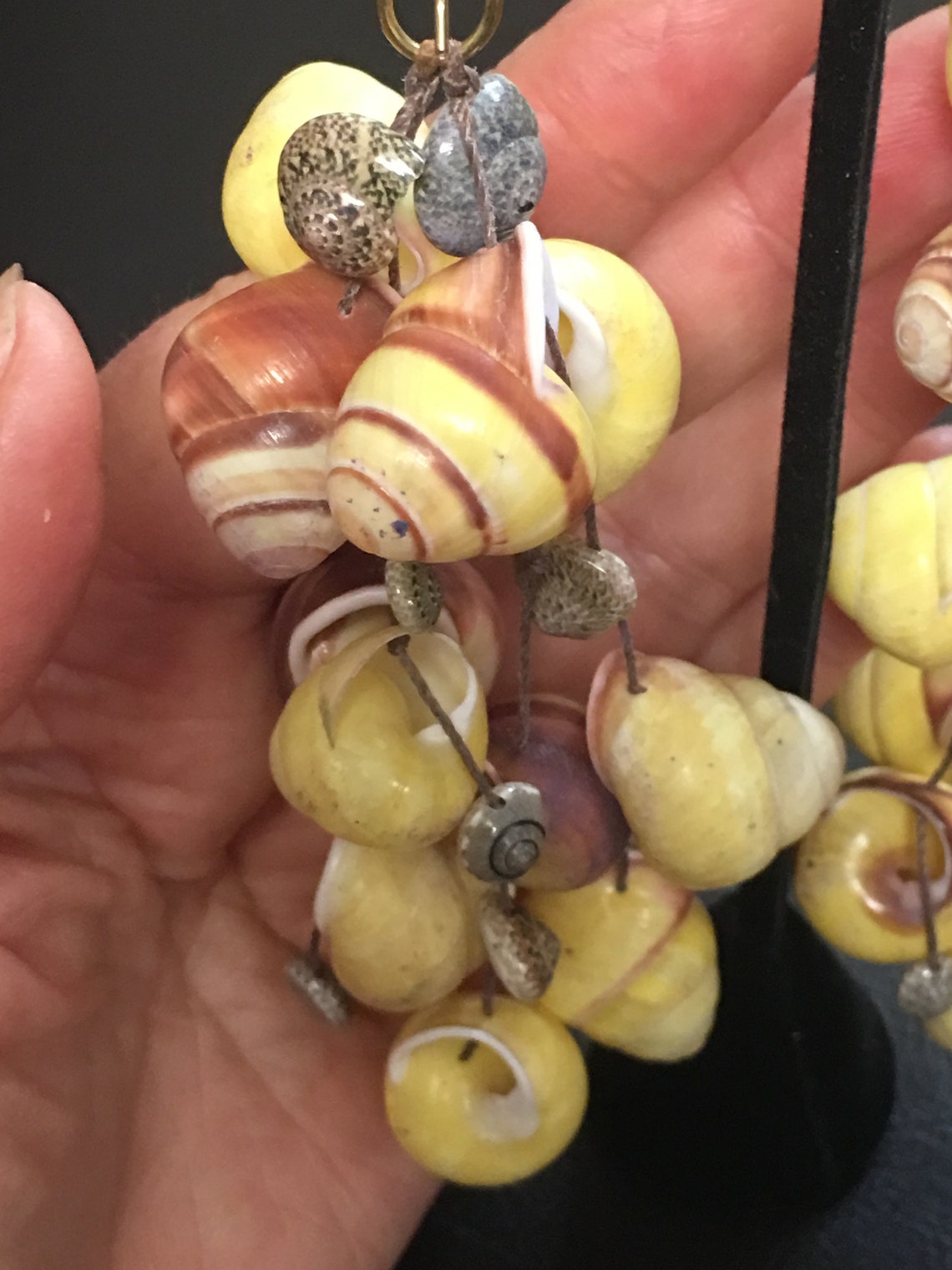 Earrings Shell Yellow Shoulder Dusters. Lightweight Shell - Etsy