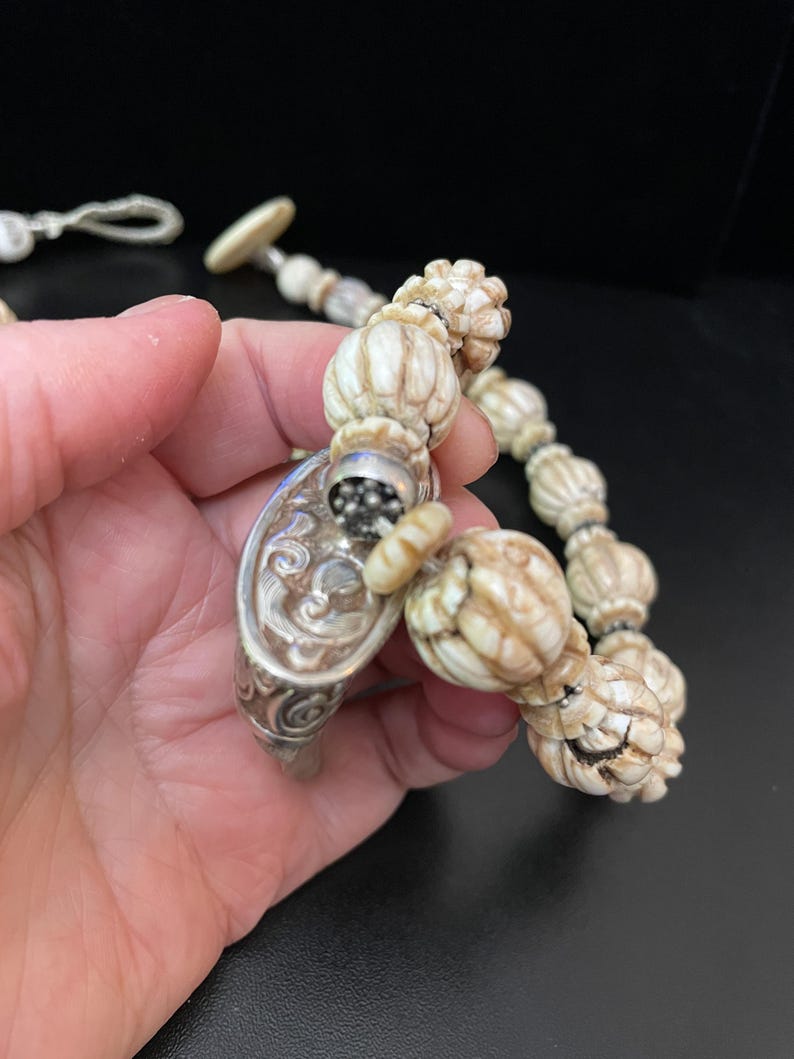 Fossilized Shark Tooth Necklace, Sterling Silver, Carved Clam Shell ...