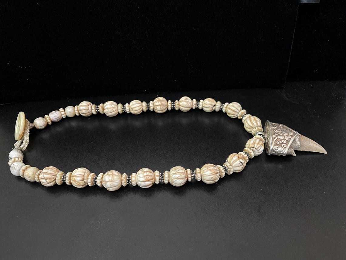 Fossilized Shark Tooth Necklace, Sterling Silver, Carved Clam Shell ...