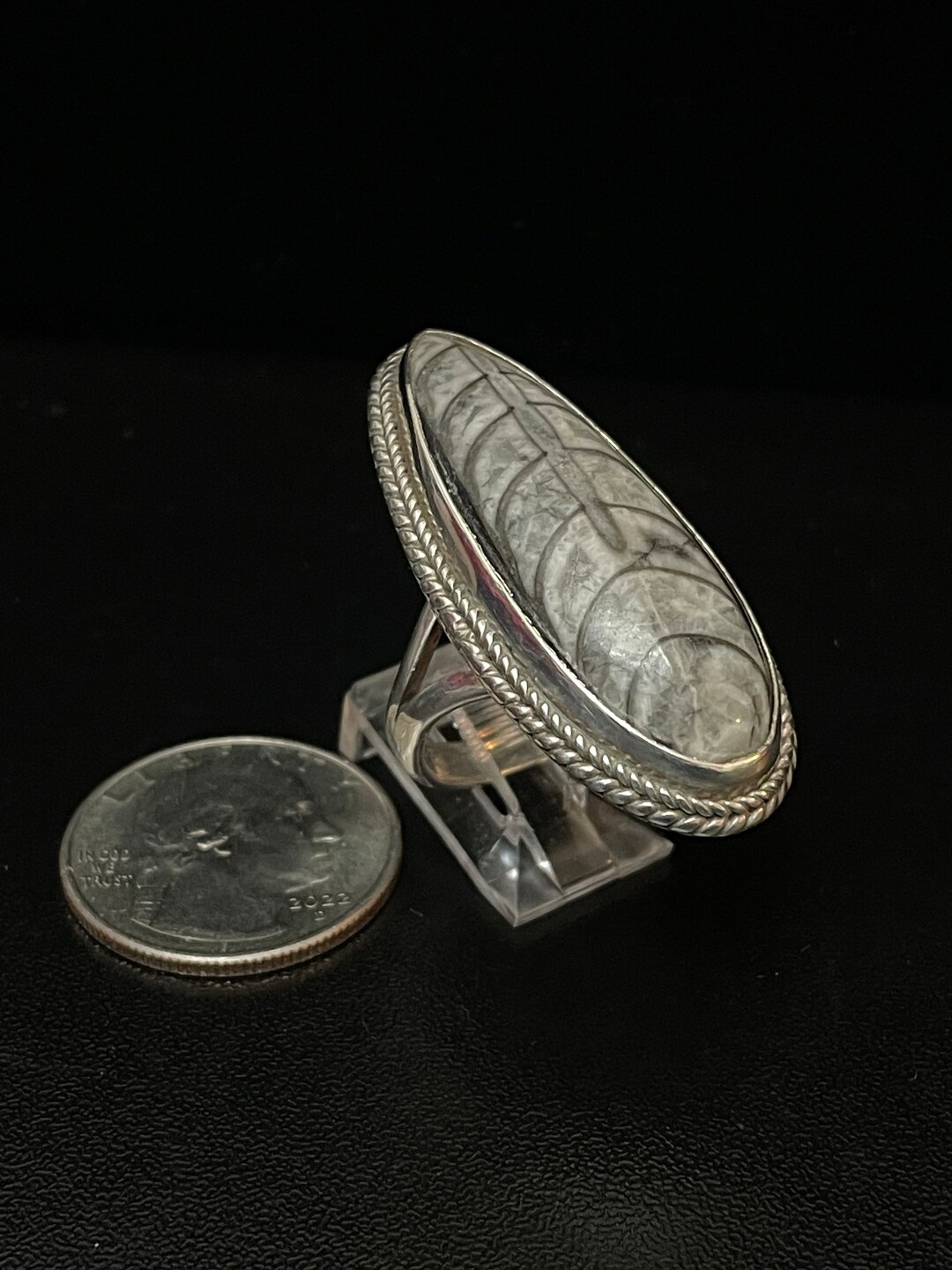 Orthoceras Fossil Ring, Size 8 Extinct Natural Fossil Ring, Handmade in ...