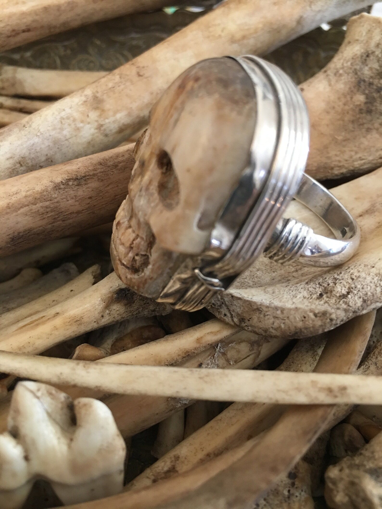 Ring Carved Marlin Fish Bill Bone Steampunk Boho Chic - Etsy