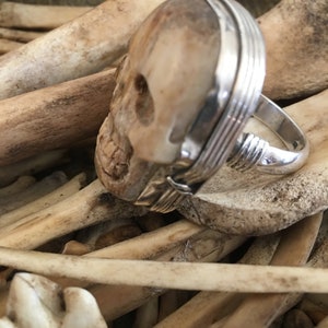Ring Carved Marlin Fish Bill Bone Steampunk Boho Chic - Etsy