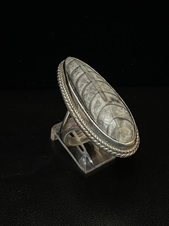 Orthoceras Fossil Ring, Size 8 Extinct Natural Fossi… - Gem