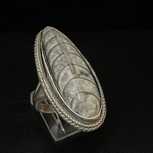 Orthoceras Fossil Ring, Size 8 Extinct Natural Fossil Ring, Handmade in ...