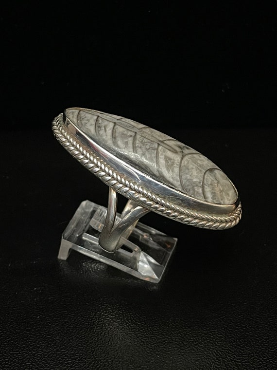 Orthoceras Fossil Ring, Size 8 Extinct Natural Fossi… - Gem