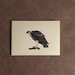 Set of 6 or 12 Handmade Blank Osprey Print Note Cards - Etsy